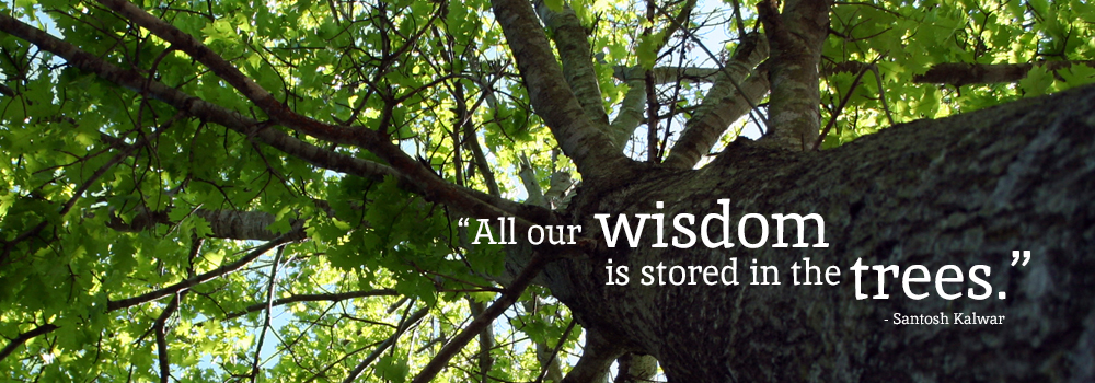 Home Montgomery Trees