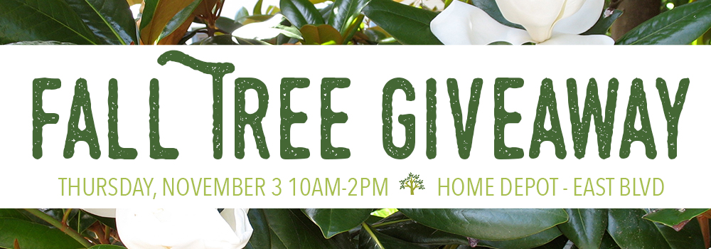 2016 Fall Tree Giveaway - Montgomery Trees